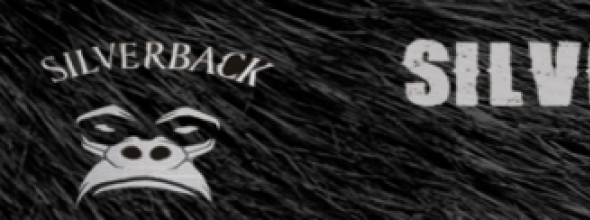 Indflytterfest - Silverback MC i Danmark